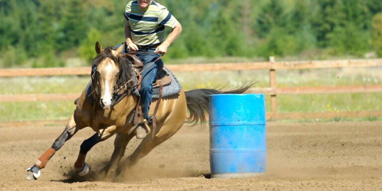 Barrel racing explained
