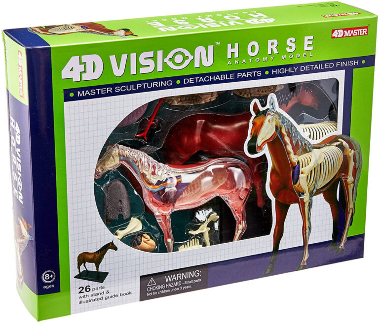 The science of horse vision: what they actually see